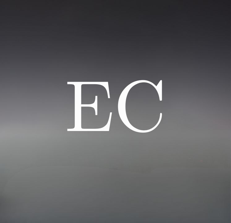 Ellen M. Chalfant | Rourke & Blumenthal
